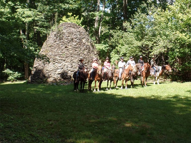 Peace Haven Farm, Classes And Educational Events, Horse Training And ...