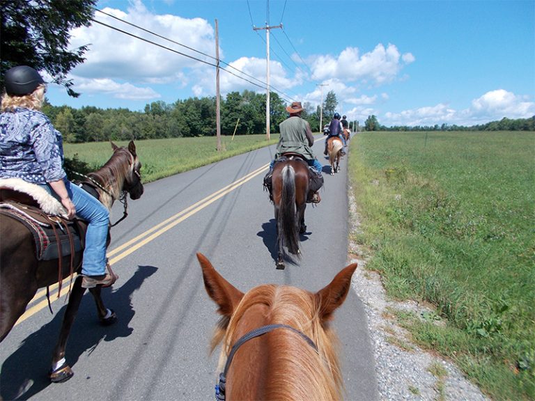 Peace Haven Farm, Classes And Educational Events, Horse Training And ...