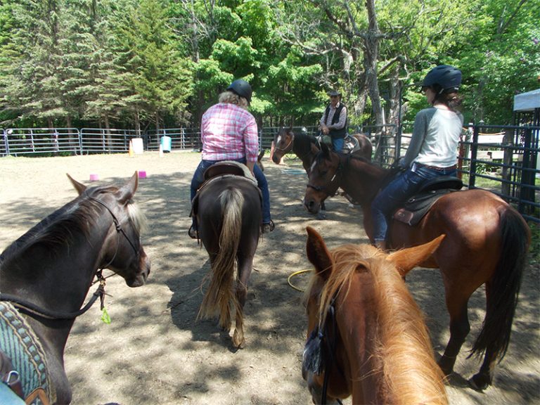 Peace Haven Farm, Classes And Educational Events, Horse Training And ...
